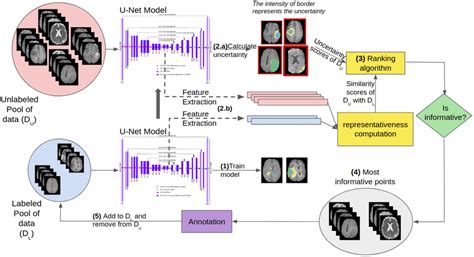 Our Active Learning Framework For Mri Image Segmentation 1 The