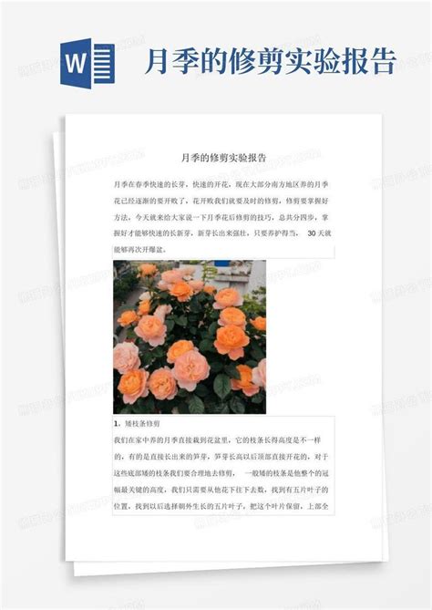月季的修剪实验报告word模板下载编号qaknkzbo熊猫办公