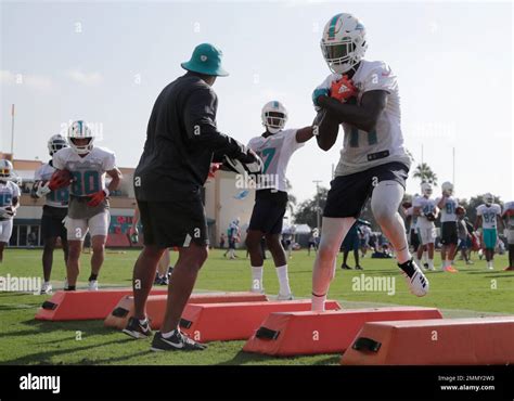 Miami Dolphins Wide Receiver Danny Amendola 80 And Wide Receiver
