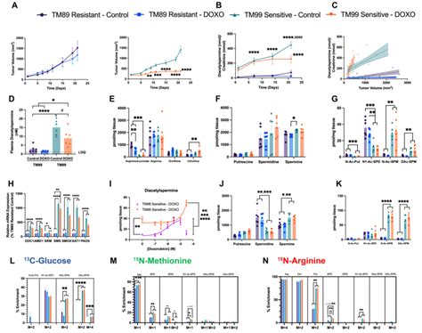 Effective Doxorubicin Treatment Decreases Urinary Diacetylspermine In Download Scientific
