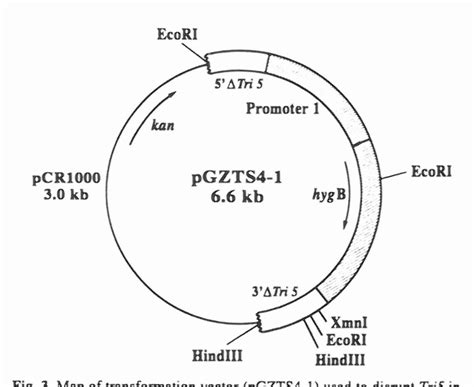 Trichodiene Semantic Scholar