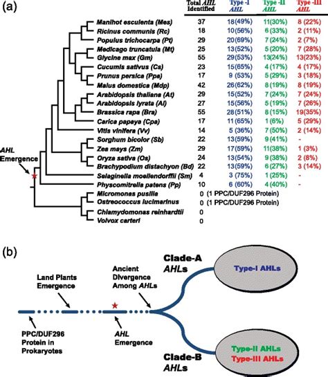 Insights Into The Evolution And Diversification Of The At Hook Motif