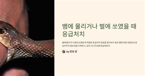 뱀에 물리거나 벌에 쏘였을 때 응급처치