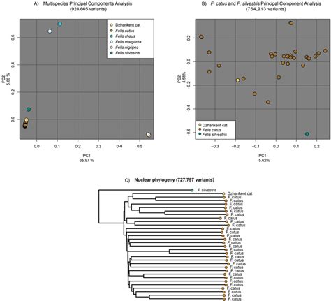 Principal Component Analysis Of Multi Species Genomic Data A And