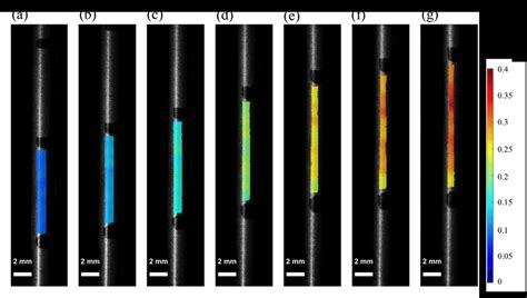 Strain Field Euler Almansi Of A1050 O Tube During The Tensile Test At