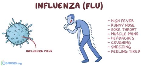 Fast And Effective Cure Of Flu Using 5 Homeopathic Medicines