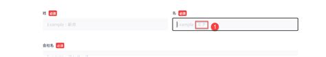 問い合わせの名のexampleは漢字 Issue 602 andaze WebCorporate GitHub