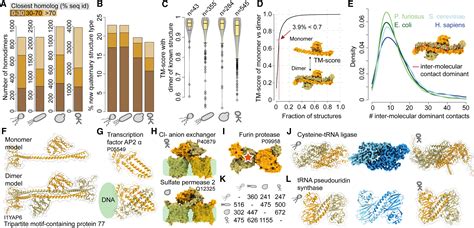 An Atlas Of Protein Homo Oligomerization Across Domains Of Life Cell