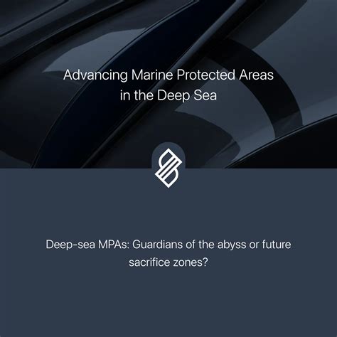 Advancing Marine Protected Areas In The Deep Sea → Scenario