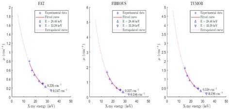 Llustrates The Exponential Fitting For The Extraction Of Tissue Fat