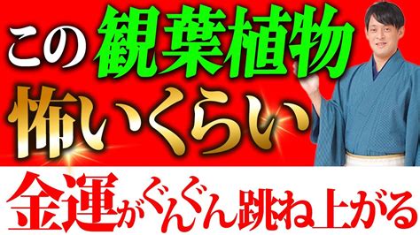 鳳凰に愛され金運が急激に大上昇！置くだけで怖いくらい人生がうまくいきます！【臨時収入 金運 鳳凰】 Youtube