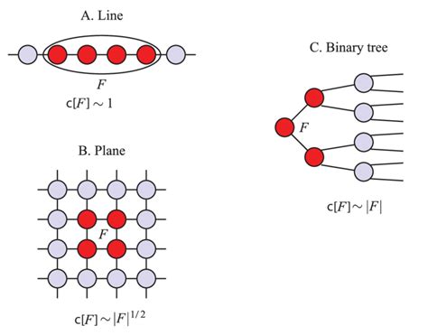 Expansion Properties Of Three Example Networks Download Scientific Diagram