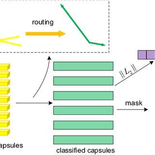 The structure of β CapsNet constrained by information bottleneck Download Scientific Diagram