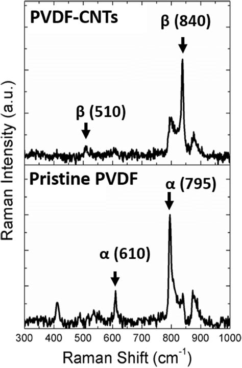 Raman Spectra Of Pristine Pvdf And Pvdf Cnt Nanocomposite Download