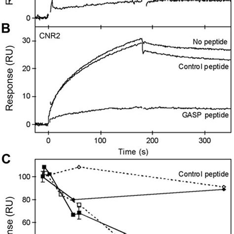 Gasp Peptide Prevents Receptor Binding To The Central Domain Of Gasp 1 Download Scientific