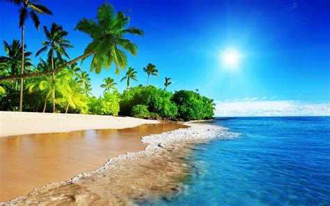 Beach Morning Wallpapers Top Free Beach Morning Backgrounds