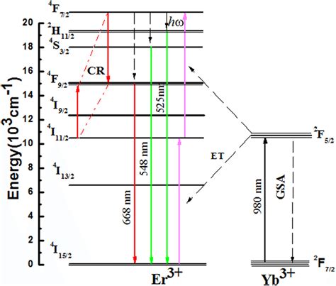 Energy Level Diagram Of Er 3 Yb 3 And Energy Transfer Progress