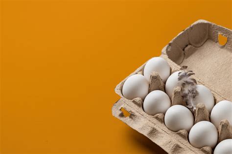 Oragne Bilder Durchsuchen 948 Archivfotos Vektorgrafiken Und Videos