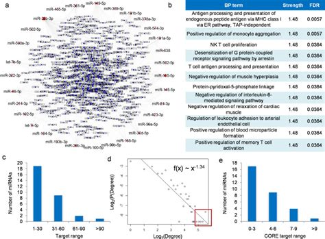 Multi Omics Network Characterization Reveals Novel Microrna Biomarkers