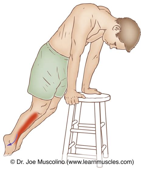 Seated Tibialis Anterior Stretch