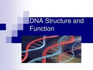 Ppt Dna Structure And Function Powerpoint Presentation Free Download Id