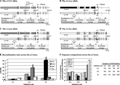 —high Resolution Mapping Of The Recombination Breakpoints That Resolved Download Scientific