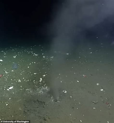Expertos En Alerta Roja Por Megaterremoto Frente A La Costa De Ee Uu