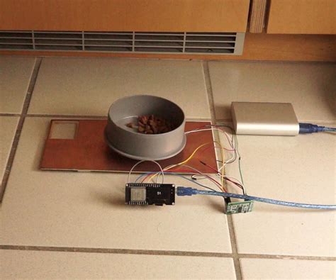 Connected Cat Feeder Using A Strain Gauge And An Esp32 11 Steps With
