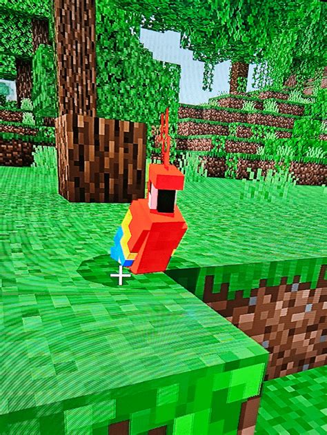 Got My Own Pesky Bird Rgrian
