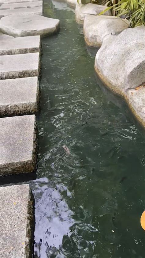 เรียนนวดสร้างอาชีพ นวดฝ่าเท้าเพื่อสุขภาพ ปวดฝ่าเท้า นวดจุดสะท้อน ครูสุพัทยาสอนนวด ส่วนที่ 1