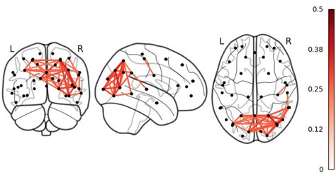 Static Amplitude Envelope Correlation Aec Analysis — Osl Dynamics