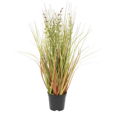 Pvc Artificial Assorted Grass Wayfair Outlet Attleboro Ma