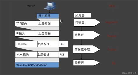 网络基础知识 CSDN博客
