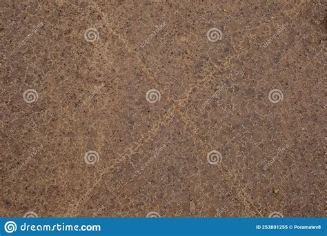 Our Beautiful Nest Takes A Very Long Time And Uses Top Grade Materials