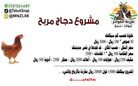 دجاج لوهمان للبيع