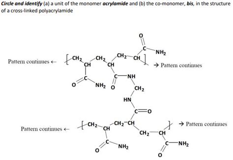 Circle And Identify A A Unit Of The Monomer