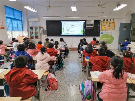 新学期如何做好心理调适？二七区佛岗小学开展心理健康微课堂腾讯新闻