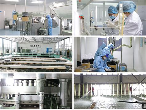 公司简介 有机螺旋藻片 有机螺旋藻粉 有机小球藻片 东台市赐百年生物工程有限公司