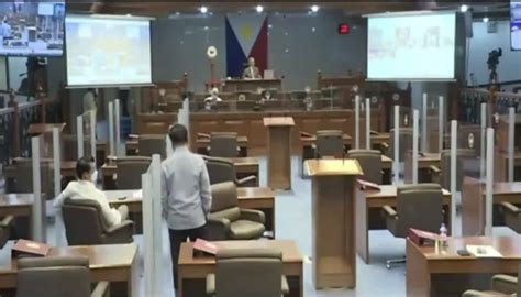 Senator Risa Hontiveros Senate Privilege Speech On Senate Bill No