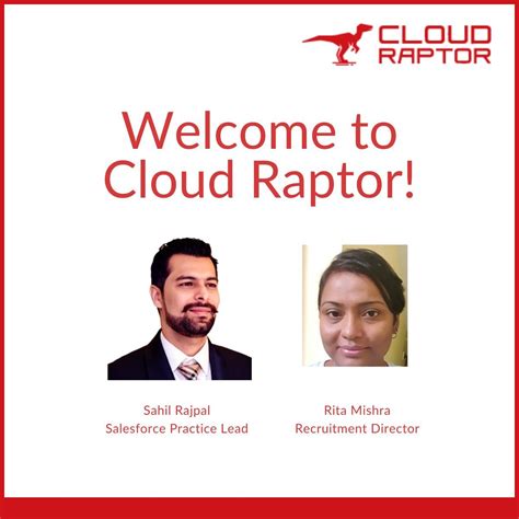 Cloud Raptor On Linkedin Cloudraptor Salesforce Sales Marketing Deliveryservice