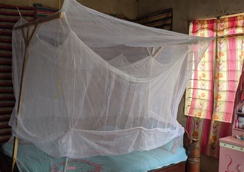 Mosquito Detection Project Releases Large Scale Acoustic Mosquito Dataset