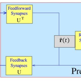 Spatiotemporal Predictive Coding Model The Network Is Similar To The