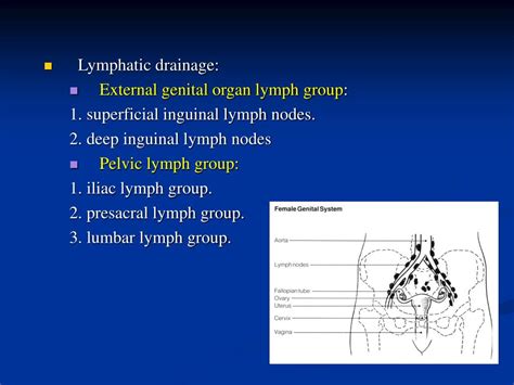 Ppt Reference Powerpoint Presentation Free Download Id 1396839