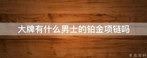 大牌有什么男士的铂金项链吗 业百科