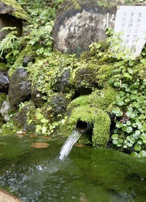 中津川村キャンプ場｜埼玉県秩父市camp Navi キャンプなび