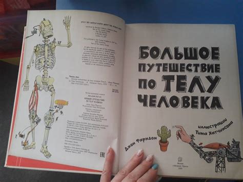Книга: Большое путешествие по телу человека - Джон Фарндон. Купить ...