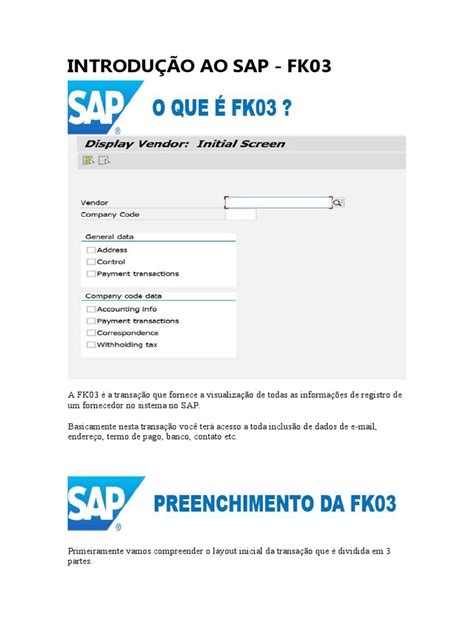 Introdução Ao Sap Fk03 Download Free Pdf Informática
