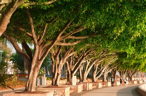 Reduce Reuse Recycle Tips And Tricks Business South Bank