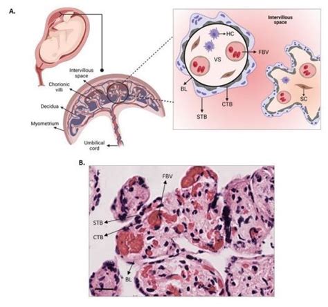Methods And Protocols Mdpi On Linkedin Callforreading
