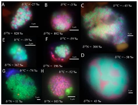 Life Special Issue Origin Of Life Feature Papers